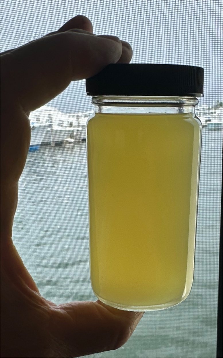 Test Old or Cloudy Diesel Fuel for Problems - Dieselcraft